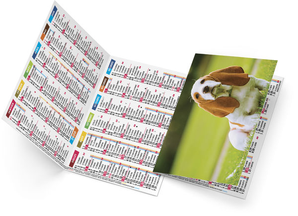 Calendriers Publicitaires de Poche | Collection 2019 | KelCom