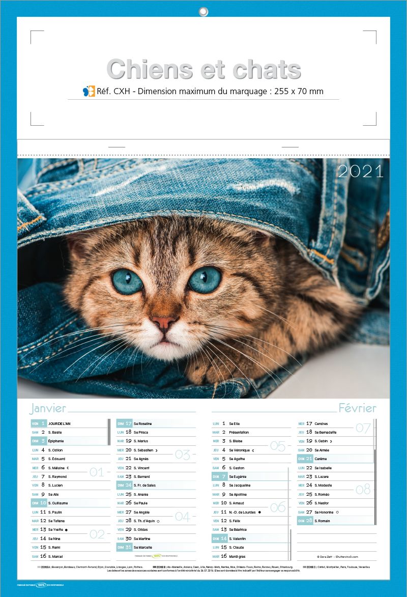calendriers publicitaires chats