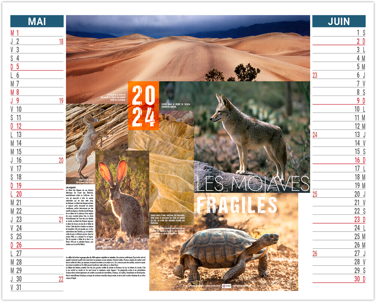 Calendrier personnalisable 2 en 1 planete fragile 480 x 700 ...
