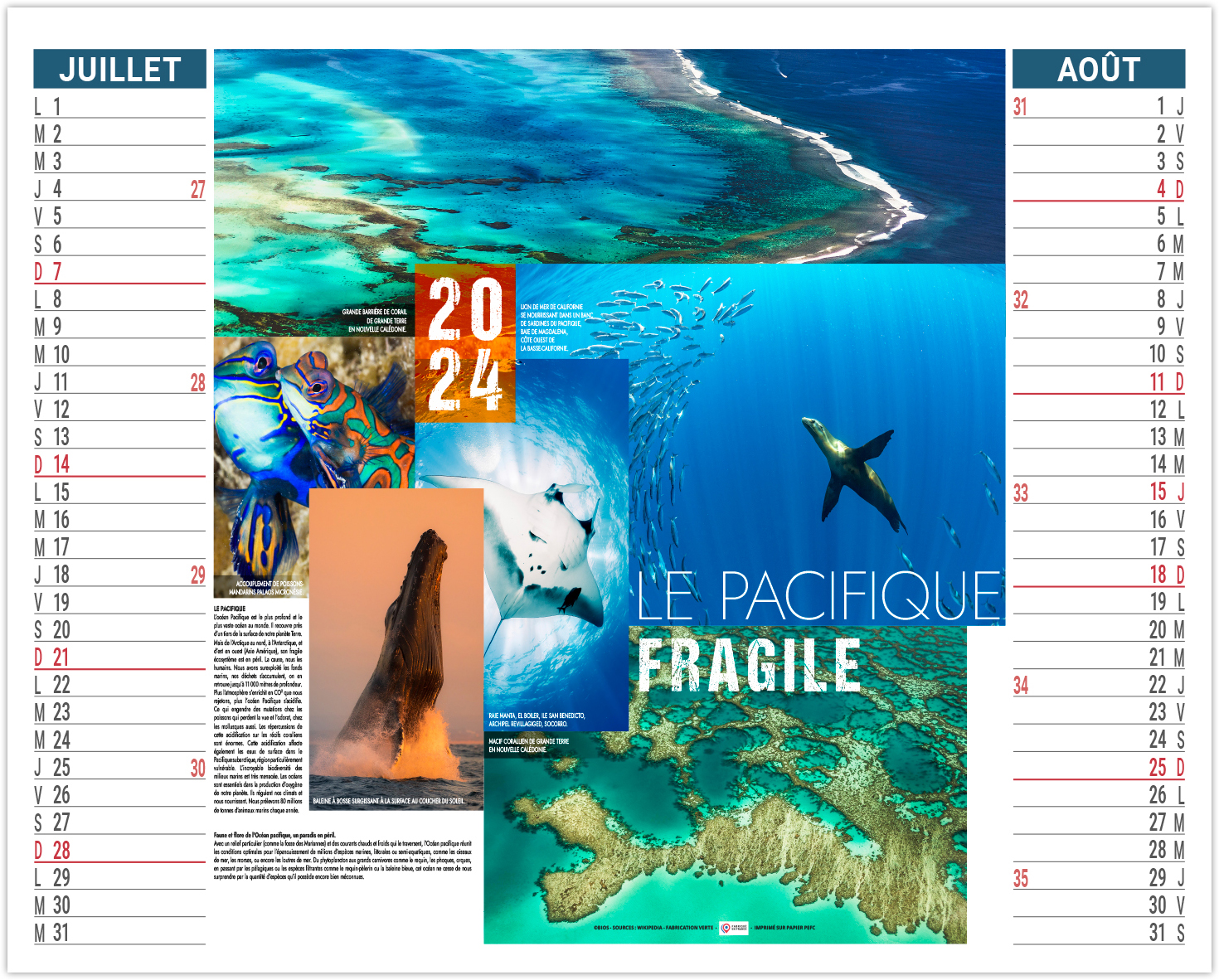 Calendrier personnalisable 2 en 1 planete fragile 480 x 700 ...