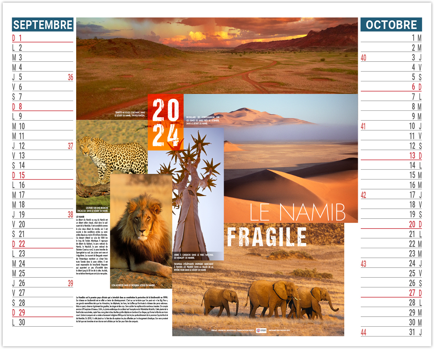 Calendrier personnalisable 2 en 1 planete fragile 480 x 700 ...