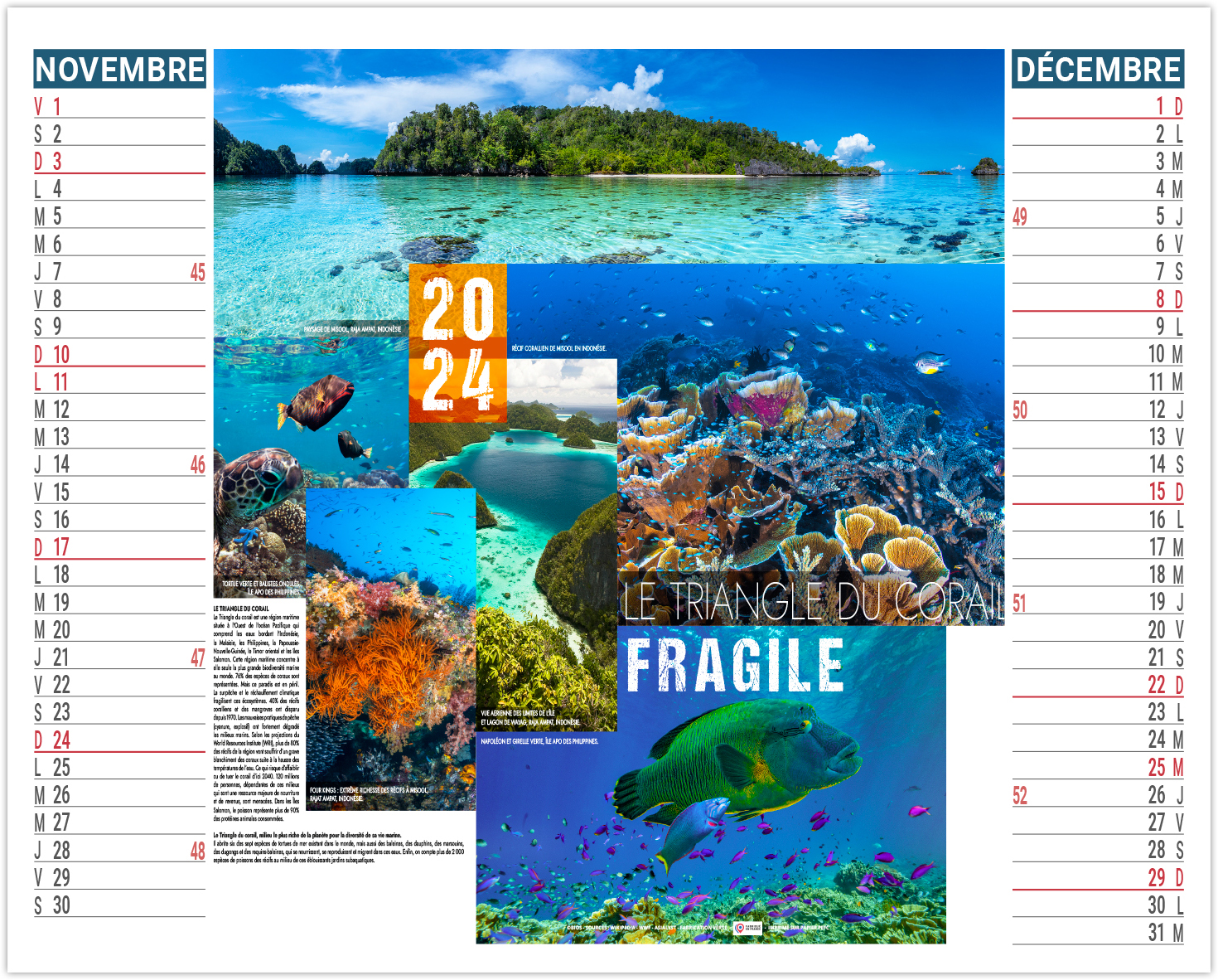 Calendrier personnalisable 2 en 1 planete fragile 480 x 700 ...